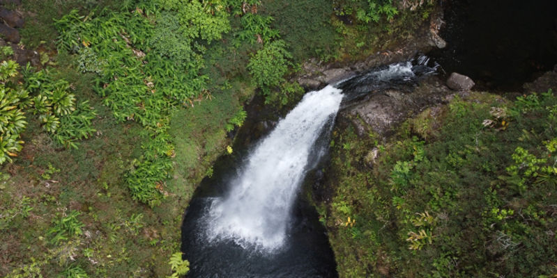 Site Map | Trane Technologies